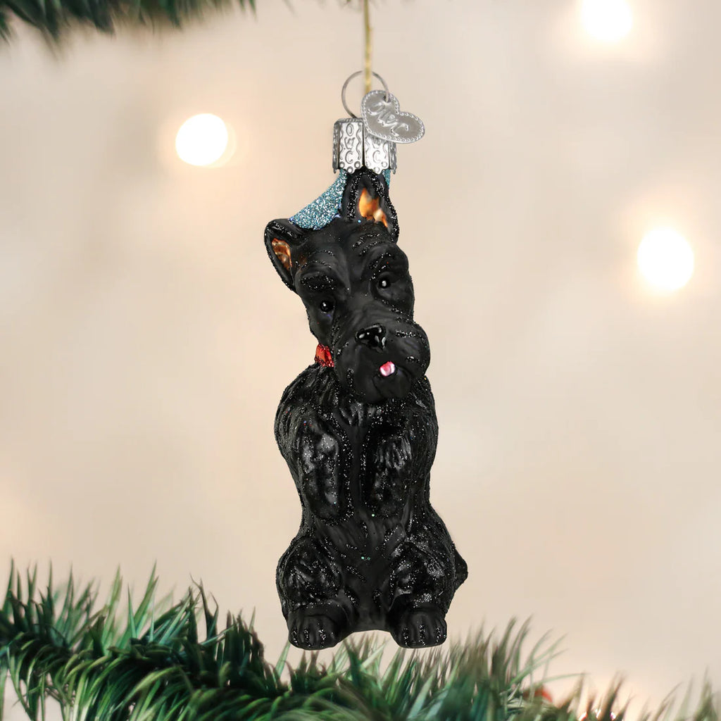 Scottish Terrier – Opal and Olive
