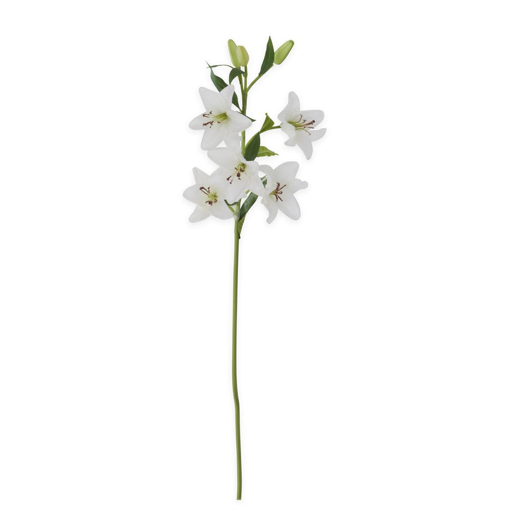 30 Inch White Real Touch Lily 5 Blooms & 3 Buds S – Opal and Olive