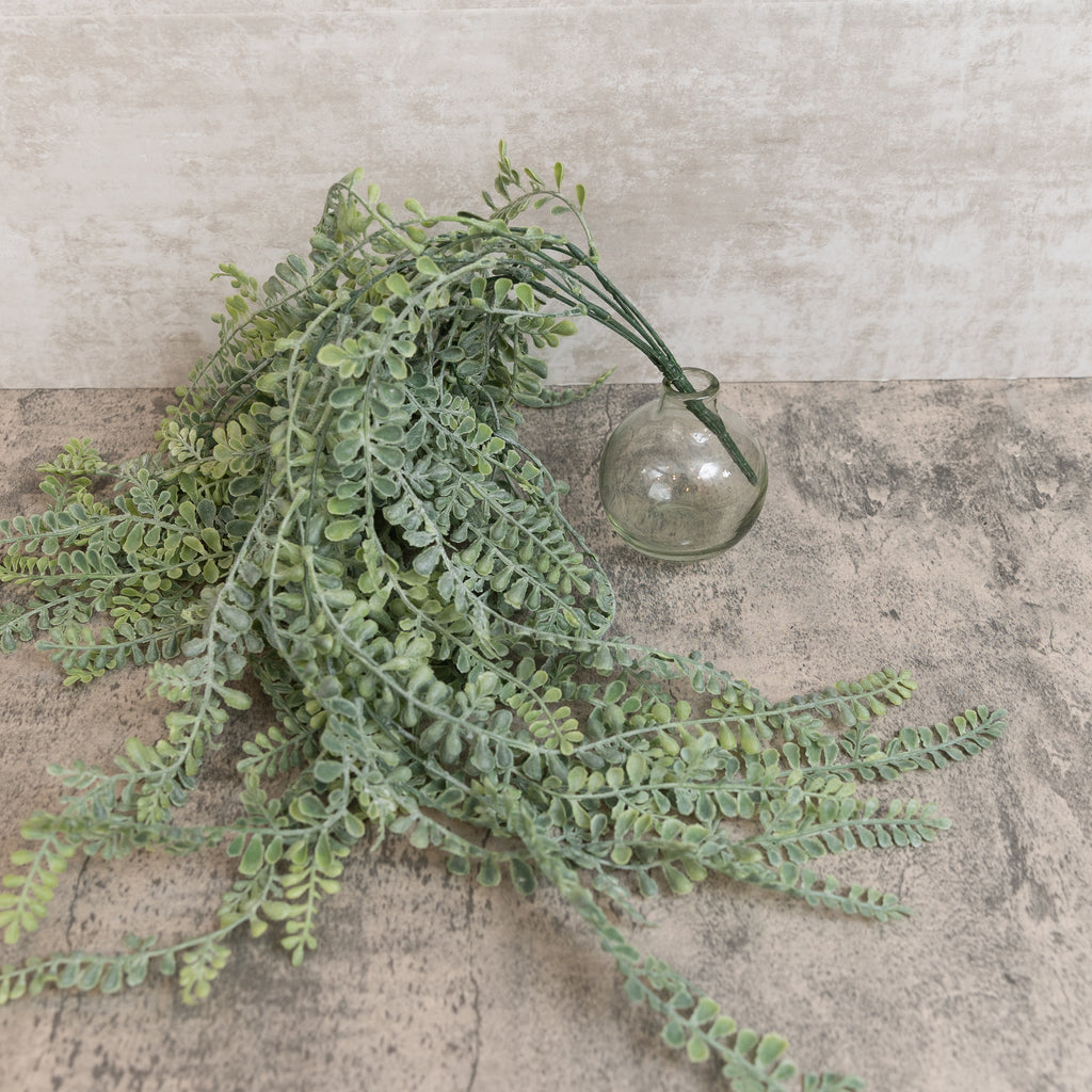 Long Leaf Fern – Opal and Olive