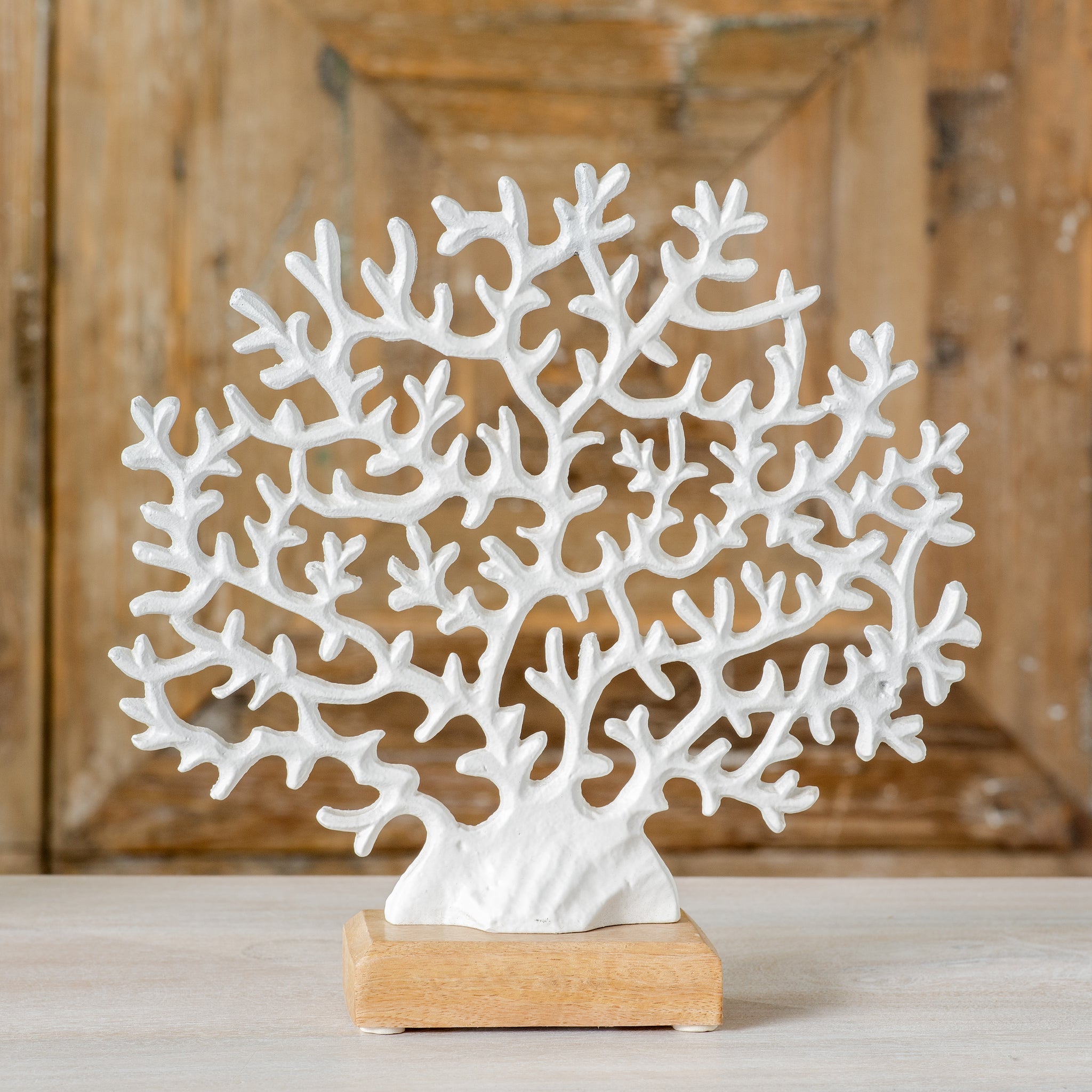 Coral Reef Tree On Base