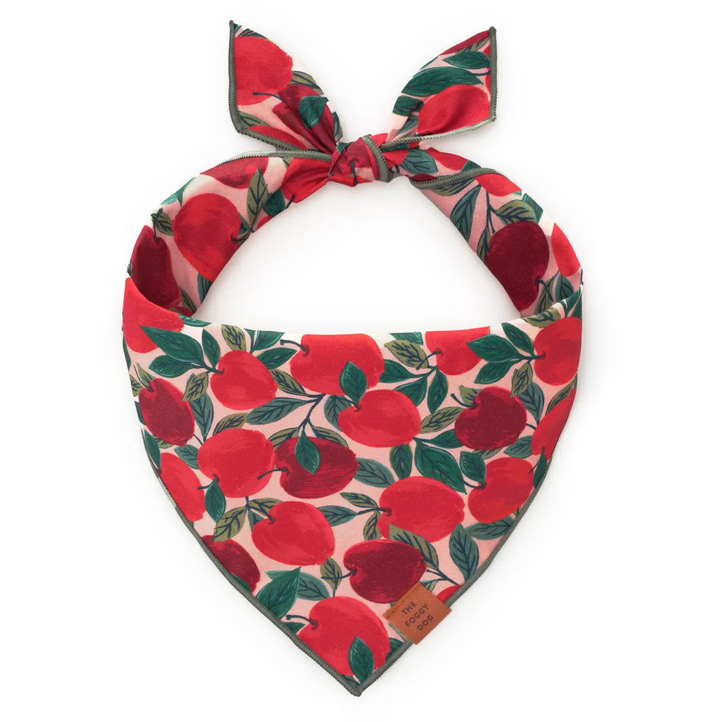 Apple of My Eye Fall Dog Bandana – Opal and Olive