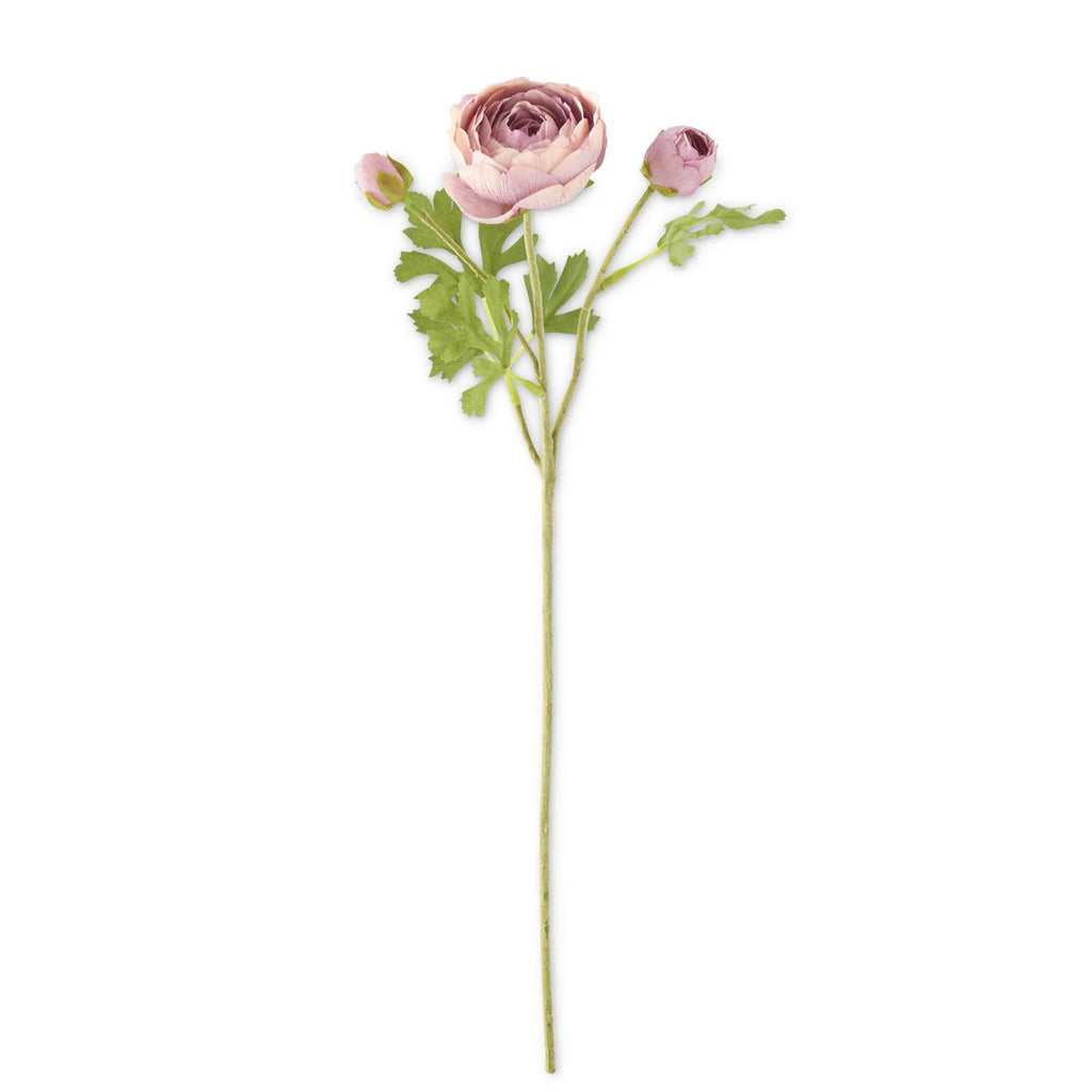 Real Touch 3 Head Ranunculus Stem - 23" – Opal and Olive